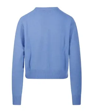 Polo Ralph Lauren Crewneck Cropped Jumper