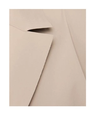 Max Mara Single-breasted Blazer