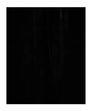 Max Mara Velvet Long Sleeve Gown