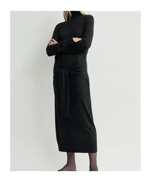 TOTEME Double Sleeve Turtleneck Midi Dress