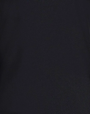 Sportmax Sheath Dress With Turtleneck And Long Sleeves