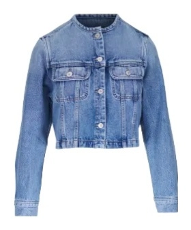 CITIZENS OF HUMANITY Buttoned Cropped Jacket