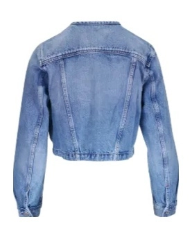 Citizens Of Humanity Buttoned Cropped Jacket