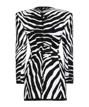 Dolce & Gabbana Zebraprint Jacket