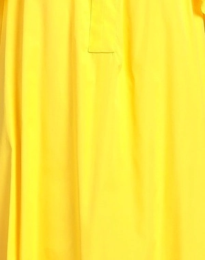 Max Mara Poplin Dress With Appliqués And Ruffles