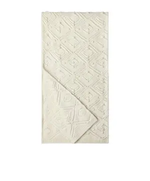Loro Piana La Plagne Scarf