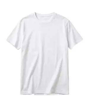 ALLSAINTS Haven T-shirt - White