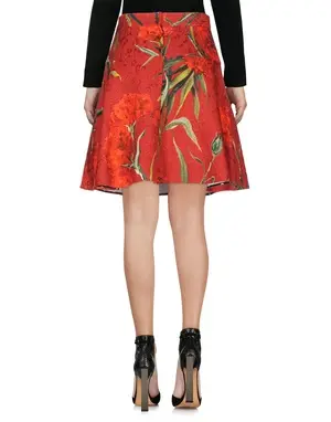 Dolce & Gabbana Floral Print Mini Skirt