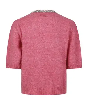Pinko V-neck Short-sleeve Sweater With Embellished Collar
