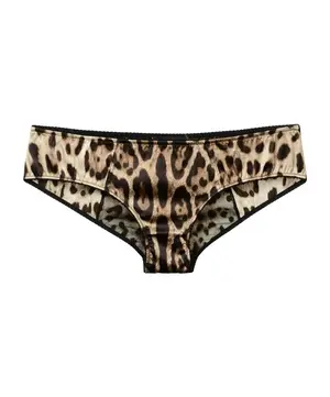 Dolce & Gabbana Leopard Print Briefs - Khaki
