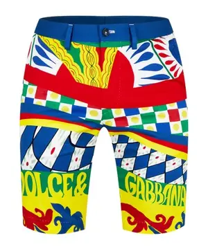 Dolce & Gabbana Printed Swim Shorts - Multicolor