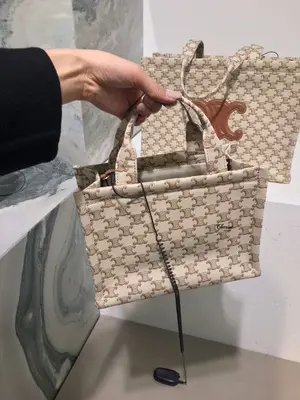Celine Small Cabas Thais In Textile With Triomphe Canvas Print And Calfskin