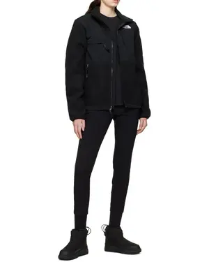 The North Face Denali High-neck Jacket