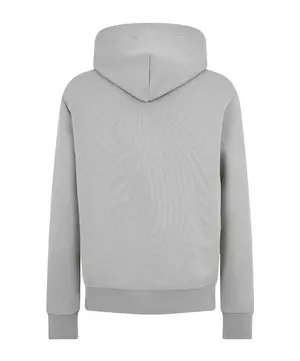 Polo Ralph Lauren Embroidered Pony Hoodie