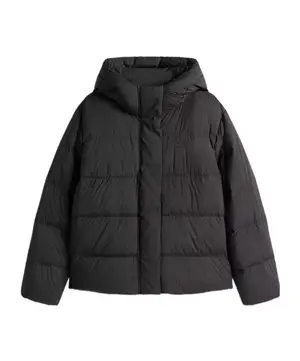Tommy Hilfiger Shorts Down Puffer Jacket