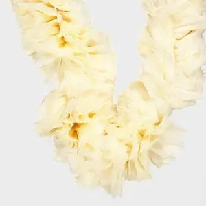 Gucci Silk Scarves
