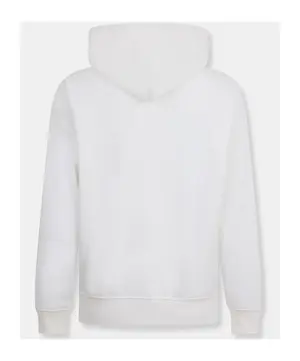 Polo Ralph Lauren Logo Hoodie - Multicolor