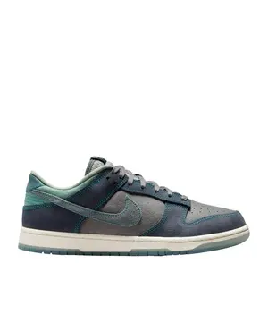Nike Low Top Sneakers