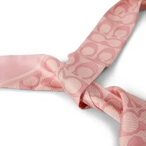 COACH Printed Silk Scarf