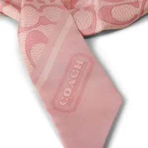 COACH Printed Silk Scarf