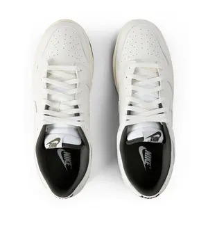 Nike Dunk Low-top Basketball Trainers