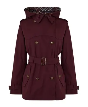 Burberry Versatile Casual Coat - Brown