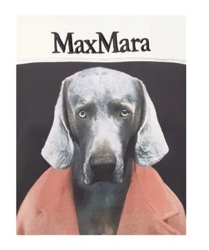 Max Mara Printed Knitted Sweater