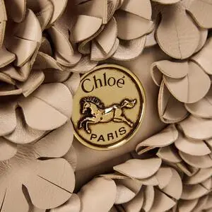 Chloé Small Single-shoulder Bag