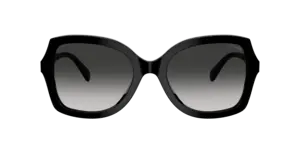 COACH Sunglass Cw225 - Grey Gradient