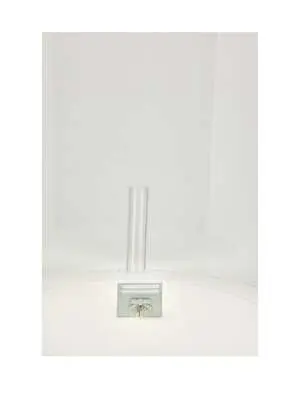 Dior Small Shape