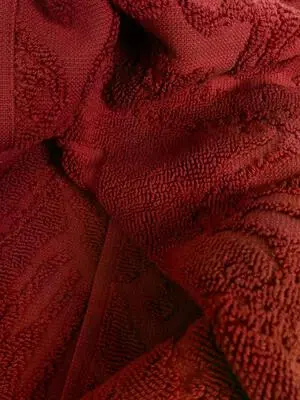 Etro Pegaso Paisley Towels Set