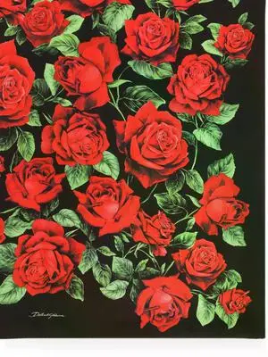 Dolce & Gabbana 90x90 Rose-print Silk Twill Scarf