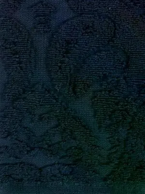 Etro Paisley-jacquard Towels Set