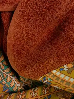 Etro Paisley-print Terry-cloth Towels