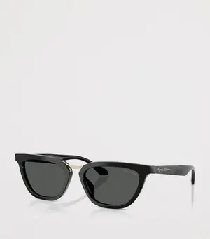 Giorgio Armani Acetate Butterfly Sunglasses