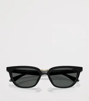 Giorgio Armani Acetate Butterfly Sunglasses