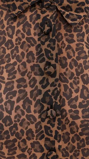 FRAME The Silk Prairie Shirt
