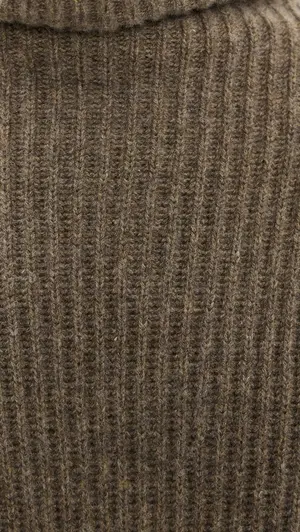 Le Kasha Verbier Cashmere Ribbed Mock Neck Sweater