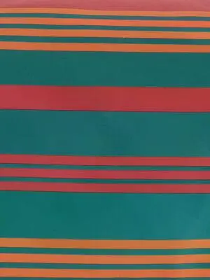 Etro Double-sided Fringed Beach Towel
