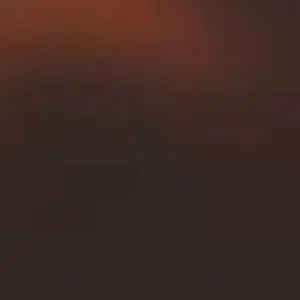 Gucci Acetate Gg1835s Sunglasses