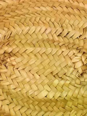Loewe Basket Raffia Small Tote Bag