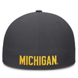 JORDAN Michigan Pro Brand Cap