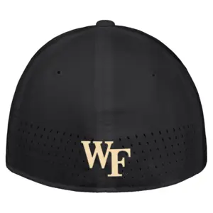 Nike Wake Forest Dri-fit College Baseball Cap - Black