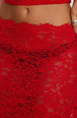Princess Polly Vionna Sheer Floral Lace Maxi Skirt