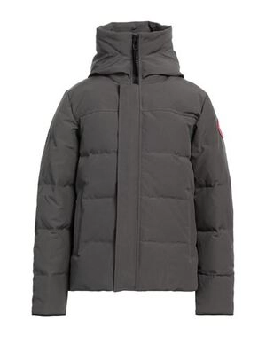 Canada Goose Puffer Lead Size Polyester, Cotton - Grey