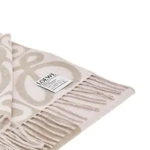 Loewe Wool And Cashmere Scarf - Multicolor