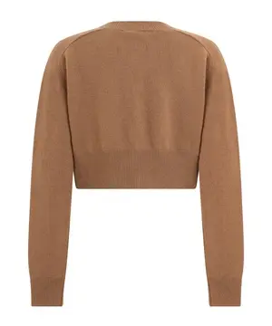 Elisabetta Franchi Ribbed-knit Crew-neck Top