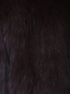YVES SALOMON Fur Long Sleeve Jacket