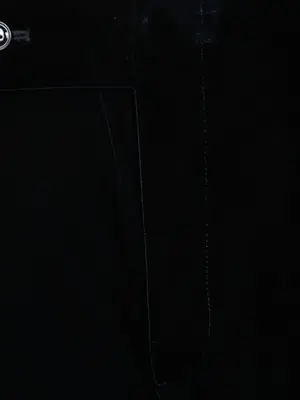 Giorgio Armani Pleated Velvet Tailored Trousers