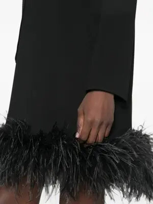 P.a.r.o.s.h Feather Trim Dress
